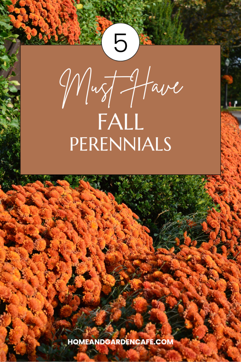 5 Must Have Fall Perennials - The Home and Garden Cafe